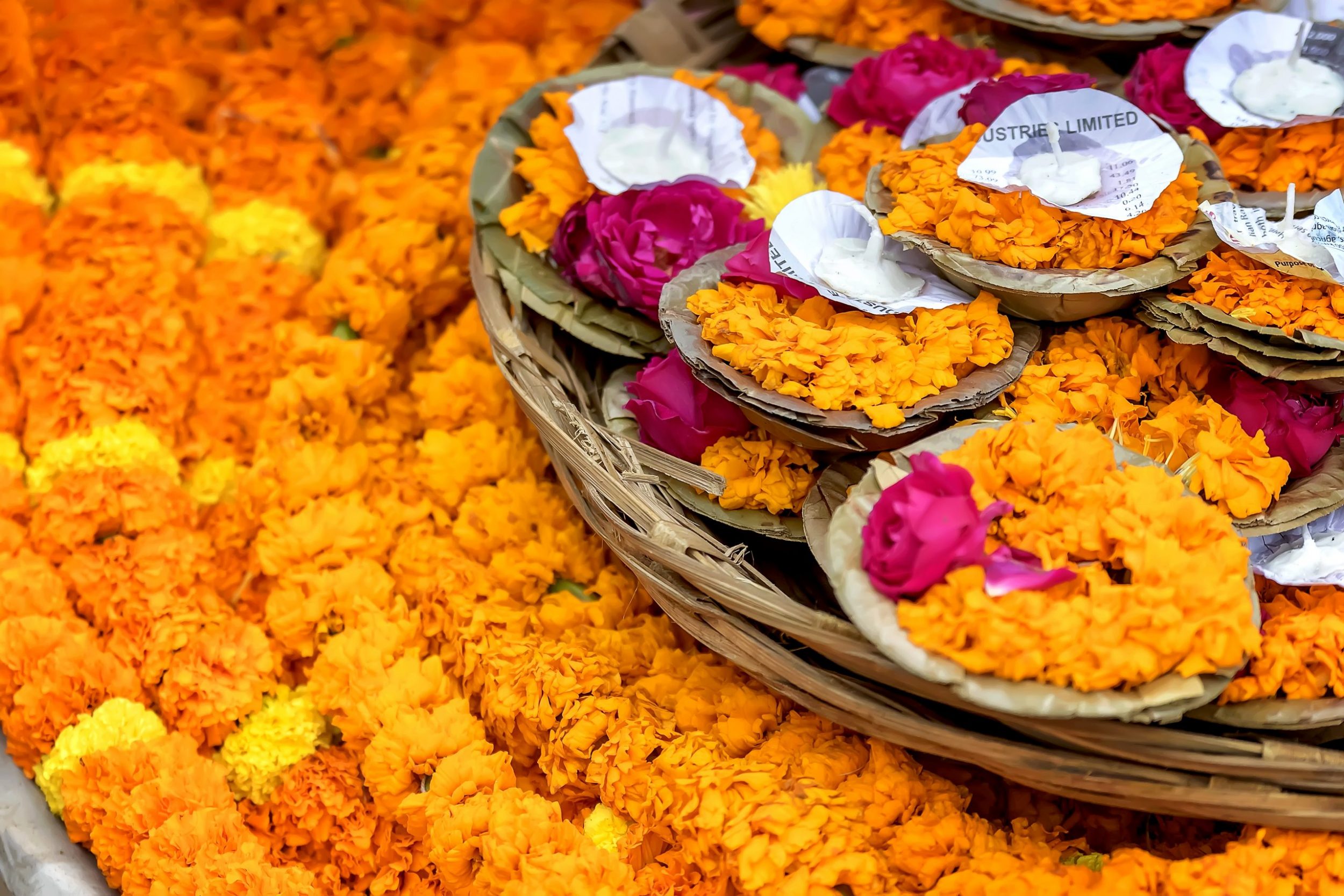 Erlebnisreise durch das magische Indien - Bawa - Exklusive Luxusreisen ...